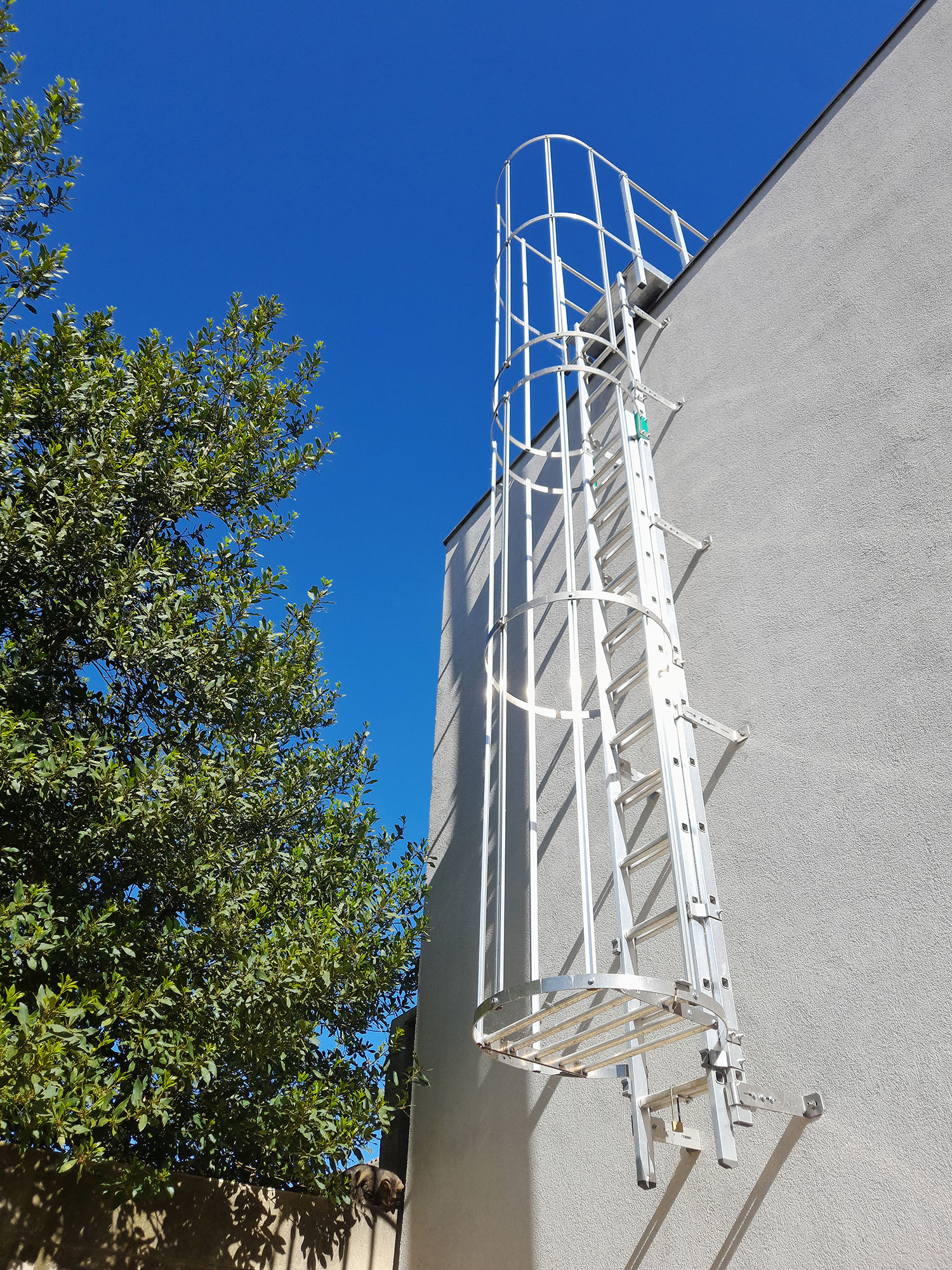 Installation échelle à crinoline